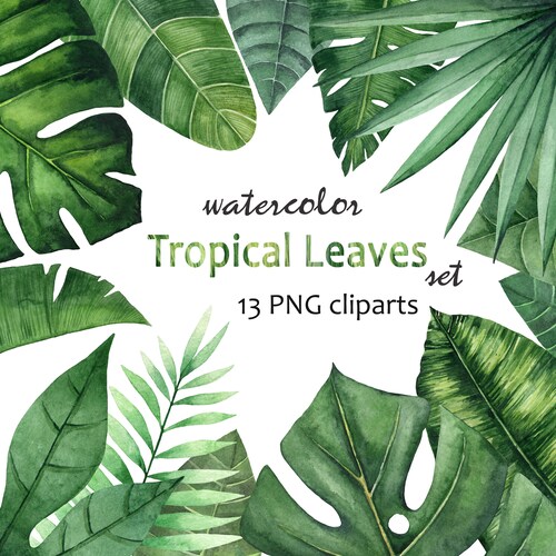 Tropical Frames Watercolor Leaves Clipart Greenery Border | Etsy