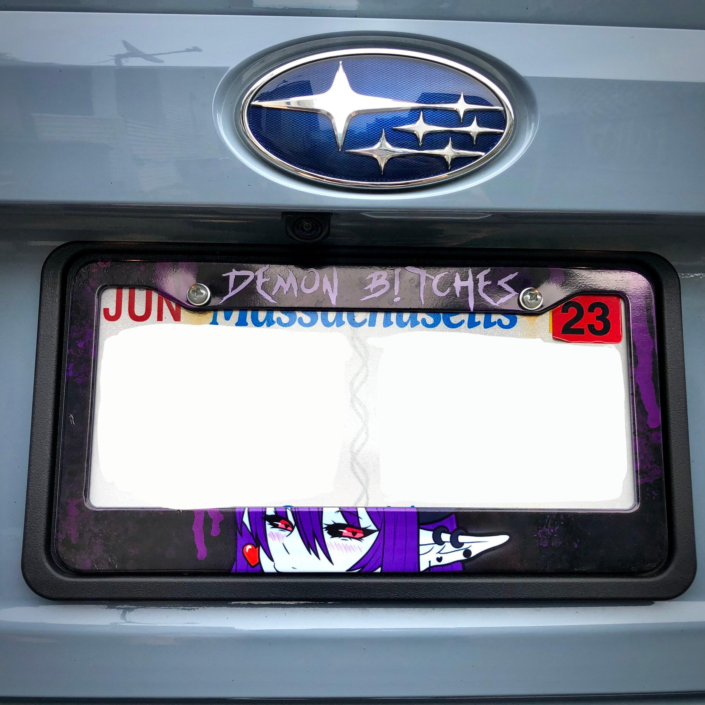Demon B!tches License Plate Frame - Etsy