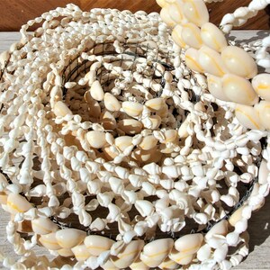 Vintage Shell Macrame Hanging Planter Cowrie Shells - Etsy
