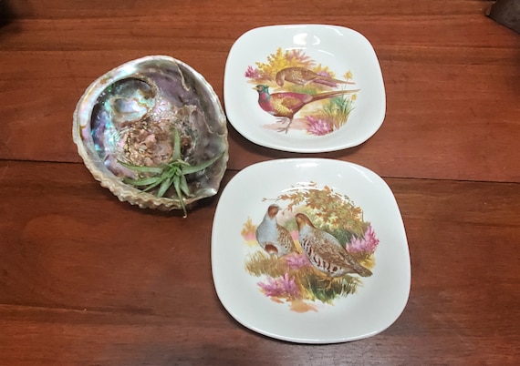 Scottish Plates From Enoch Wedgewood Birds Scotland Ceramics | Etsy