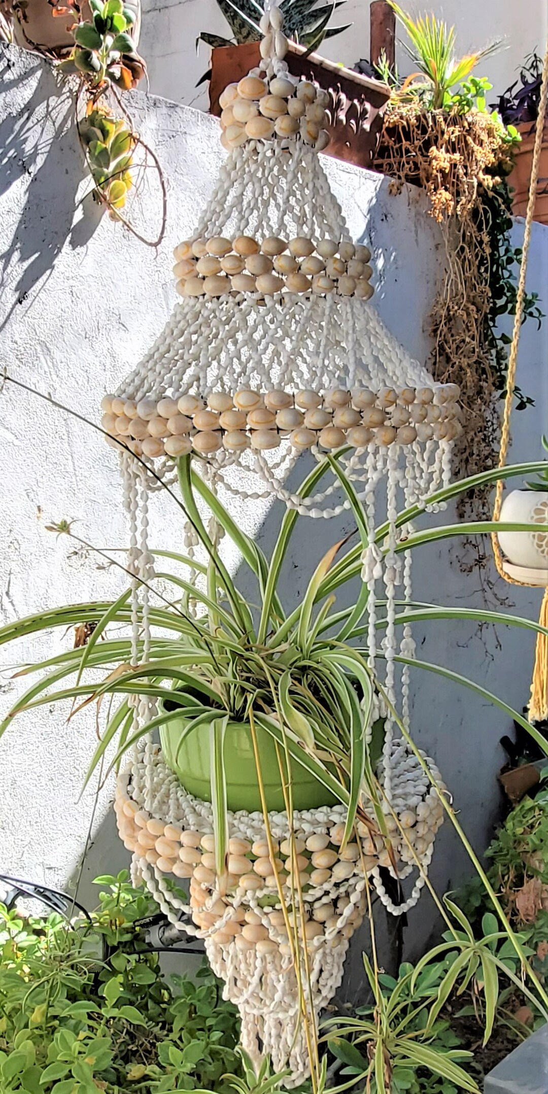 Vintage Shell Macrame Hanging Planter Cowrie Shells - Etsy
