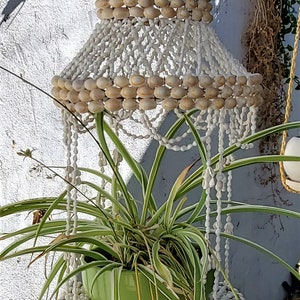 Vintage Shell Macrame Hanging Planter Cowrie Shells - Etsy