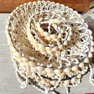 Vintage Shell Macrame Hanging Planter Cowrie Shells - Etsy