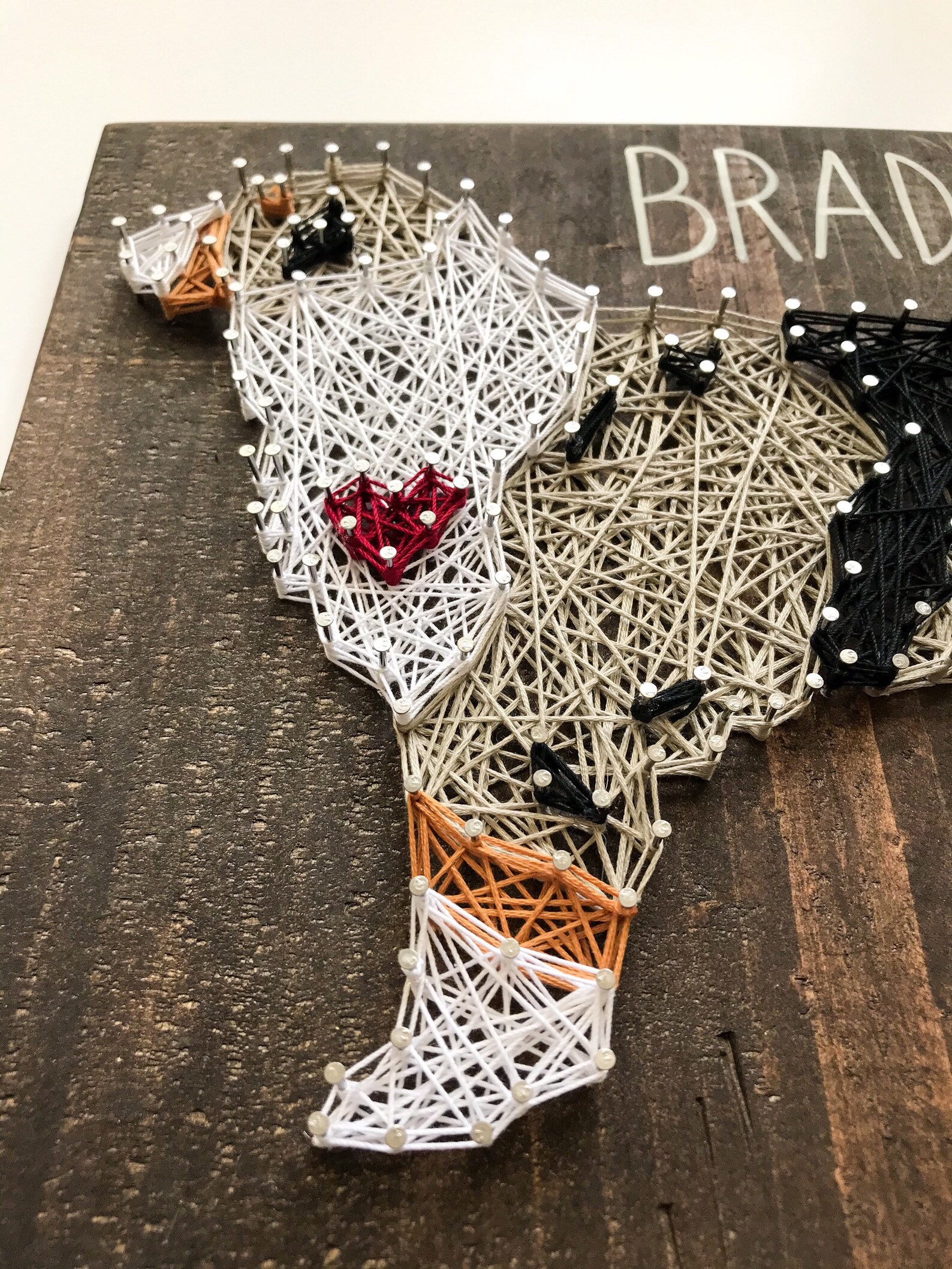 Australian Shepherd String Art Australian Shepherd Art - Etsy
