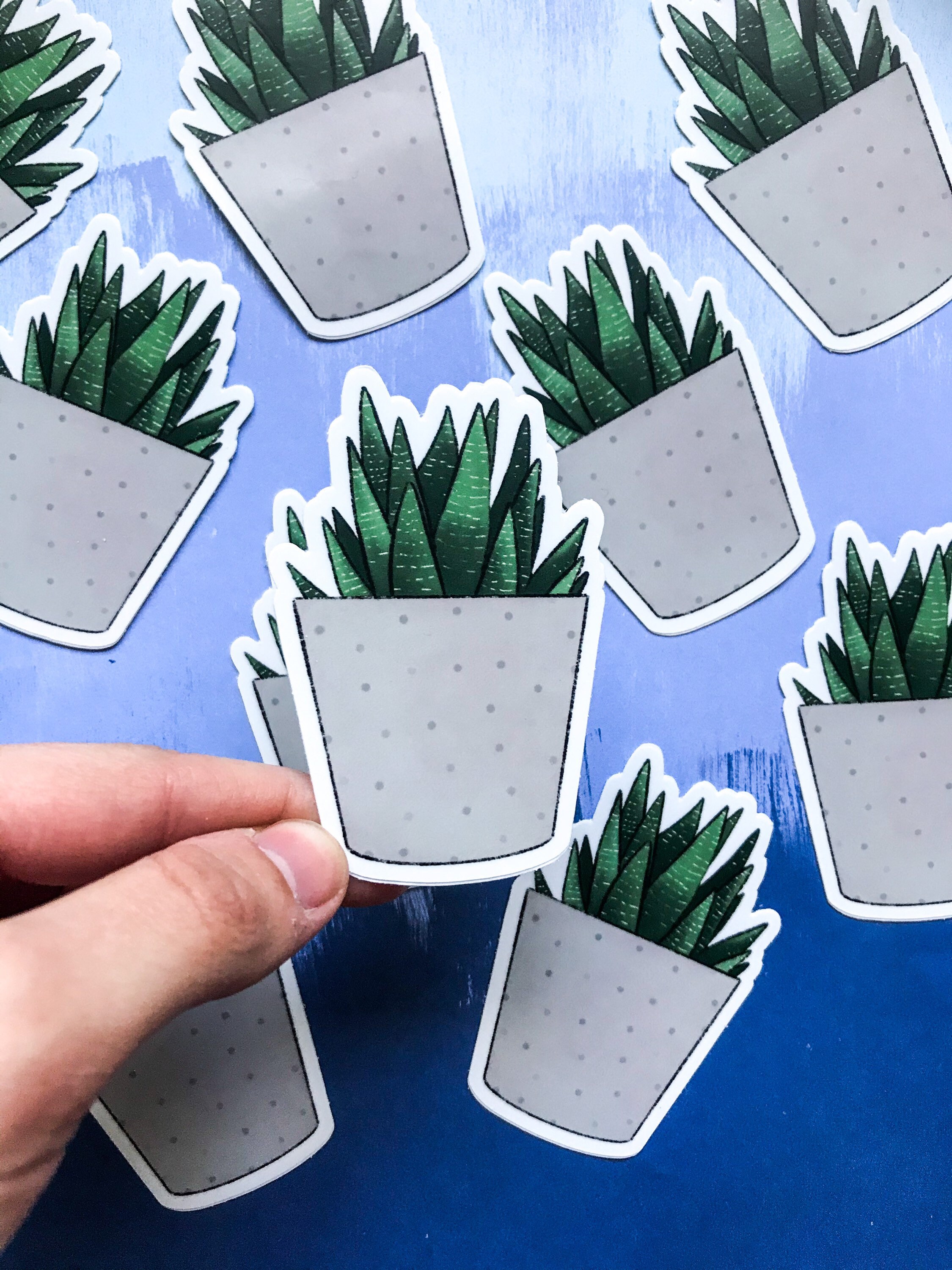 Succulent stickers cactus stickers aloe Vera sticker aloe | Etsy