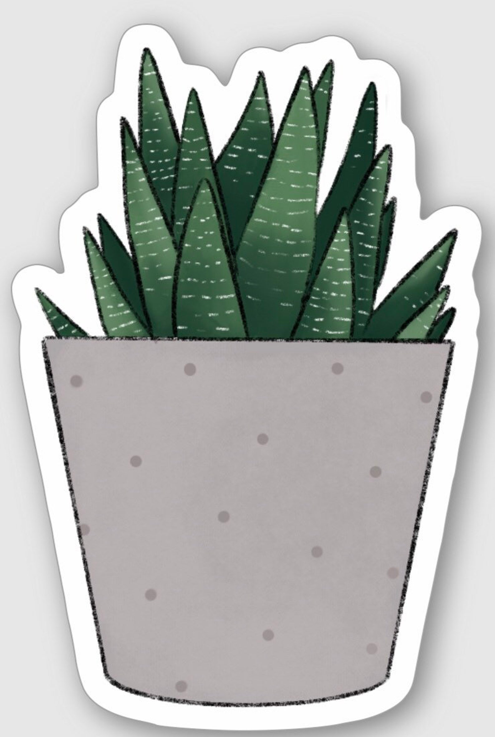 Succulent stickers cactus stickers aloe Vera sticker aloe | Etsy
