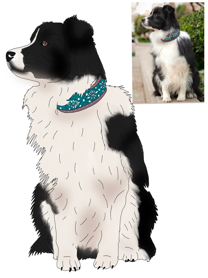 Custom pet portrait Digital File Pet Portrait illustration | Etsy