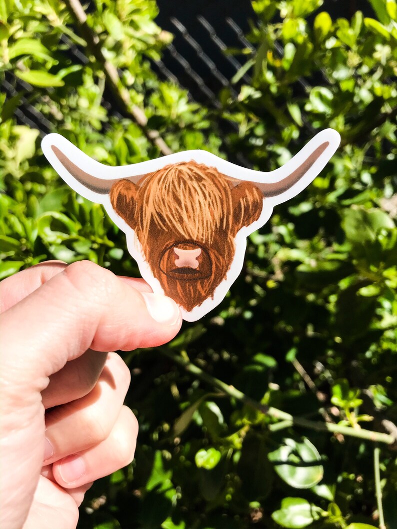 Highland Cow Sticker Cow Magnet Fuzzy Cow Cow Sticker Cow | Etsy