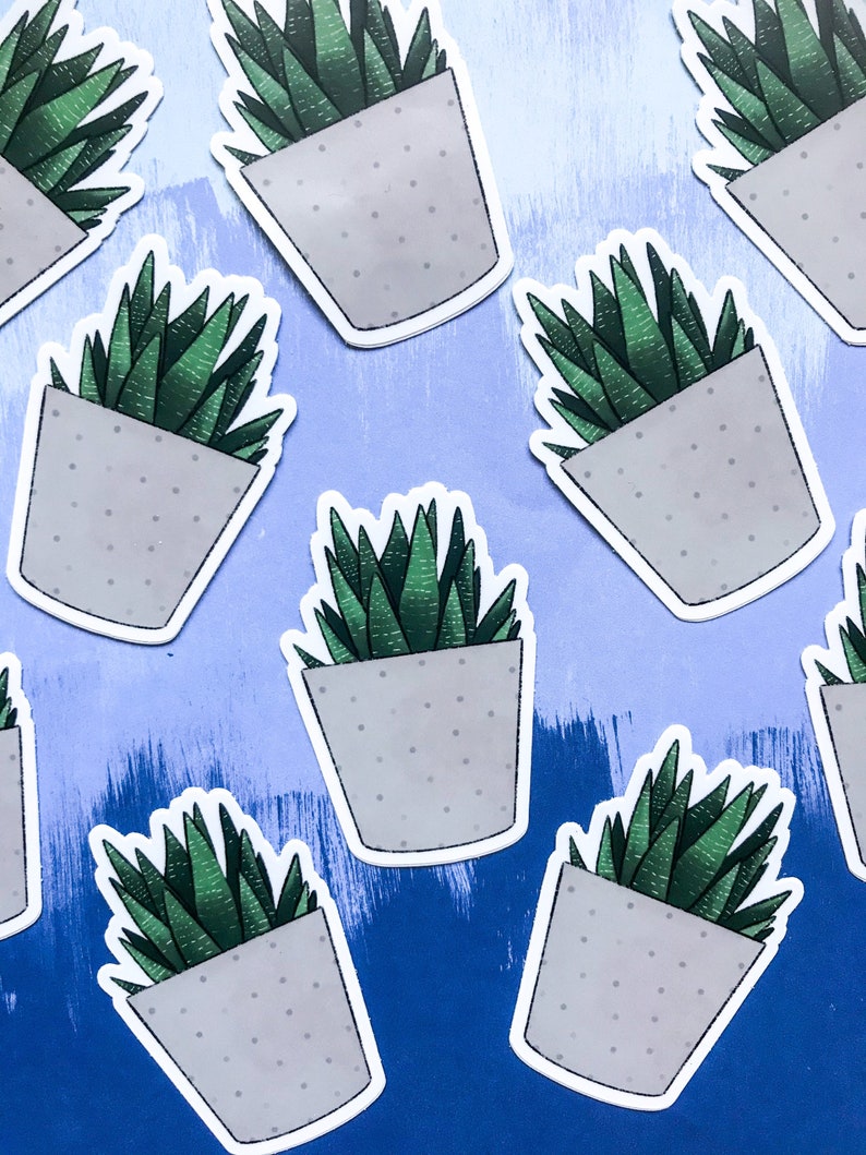 Succulent stickers cactus stickers aloe Vera sticker aloe | Etsy