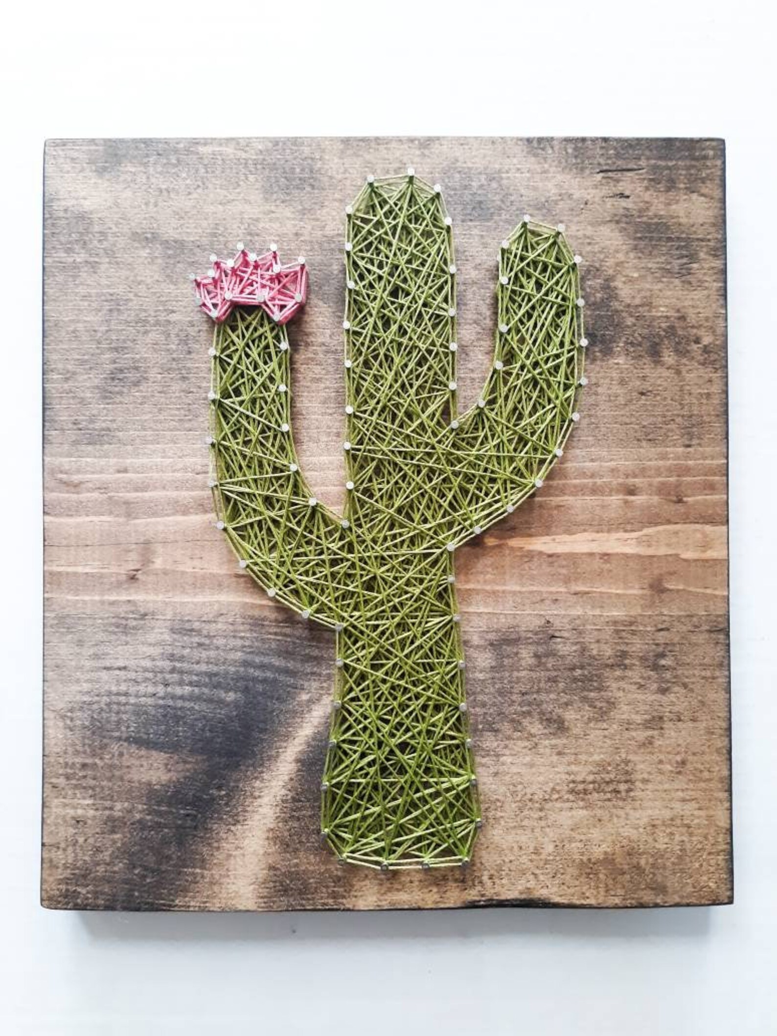 Cactus Succulent String Art Saguaro Cactus Arizona Cactus - Etsy