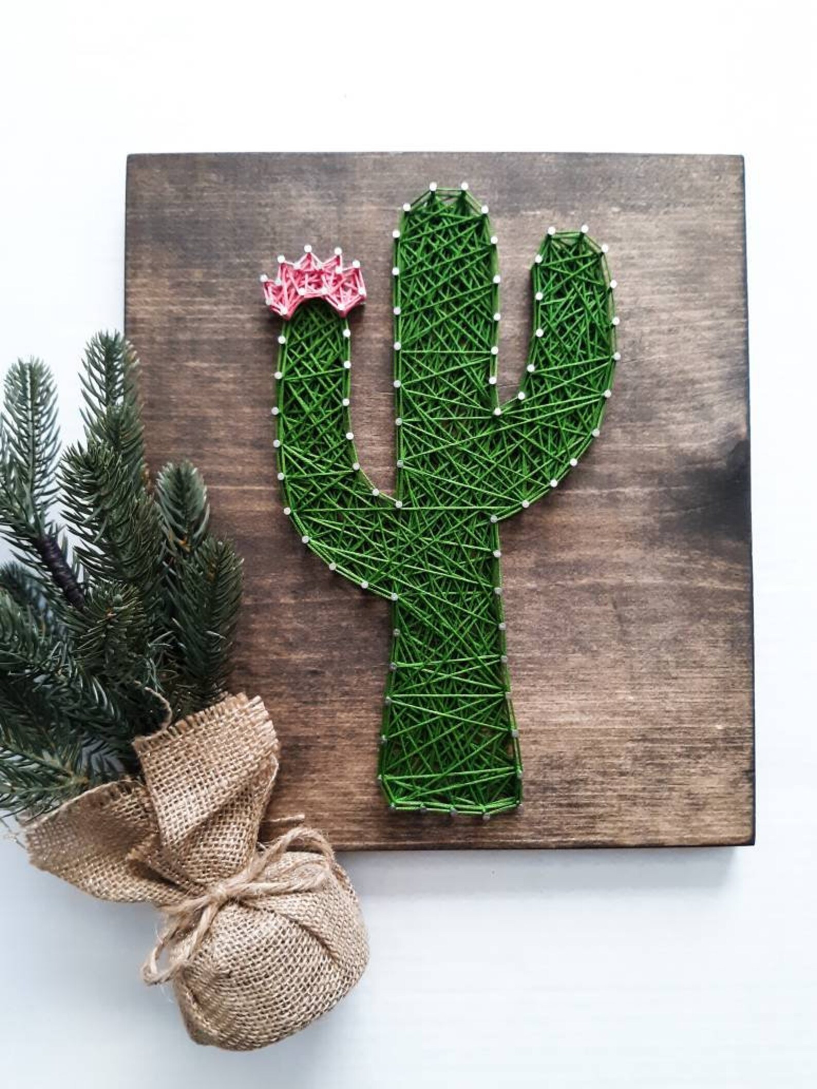 Cactus Succulent String Art Saguaro Cactus Arizona Cactus - Etsy