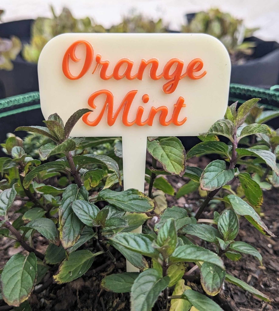 Colorful Pop Letters Garden Stake Markers, Herb Stakes, Herb Labels ...