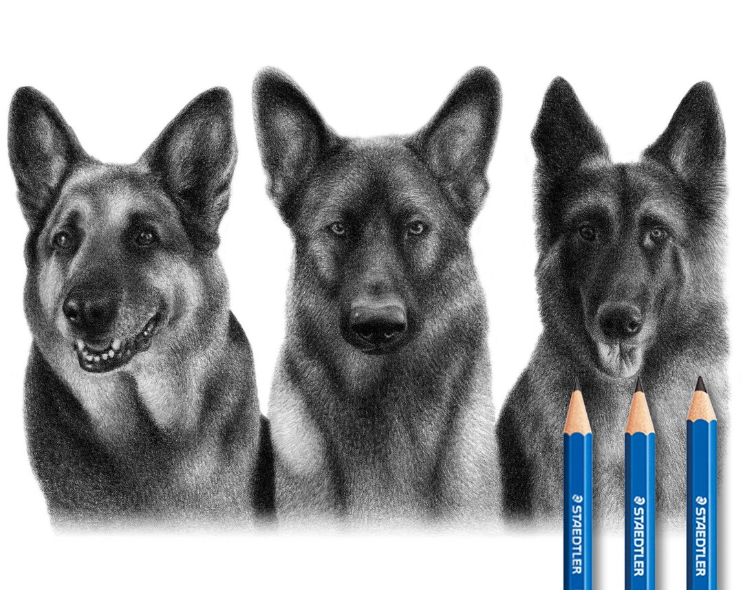 Three Pets Drawing - Custom Pets Drawing - Etsy