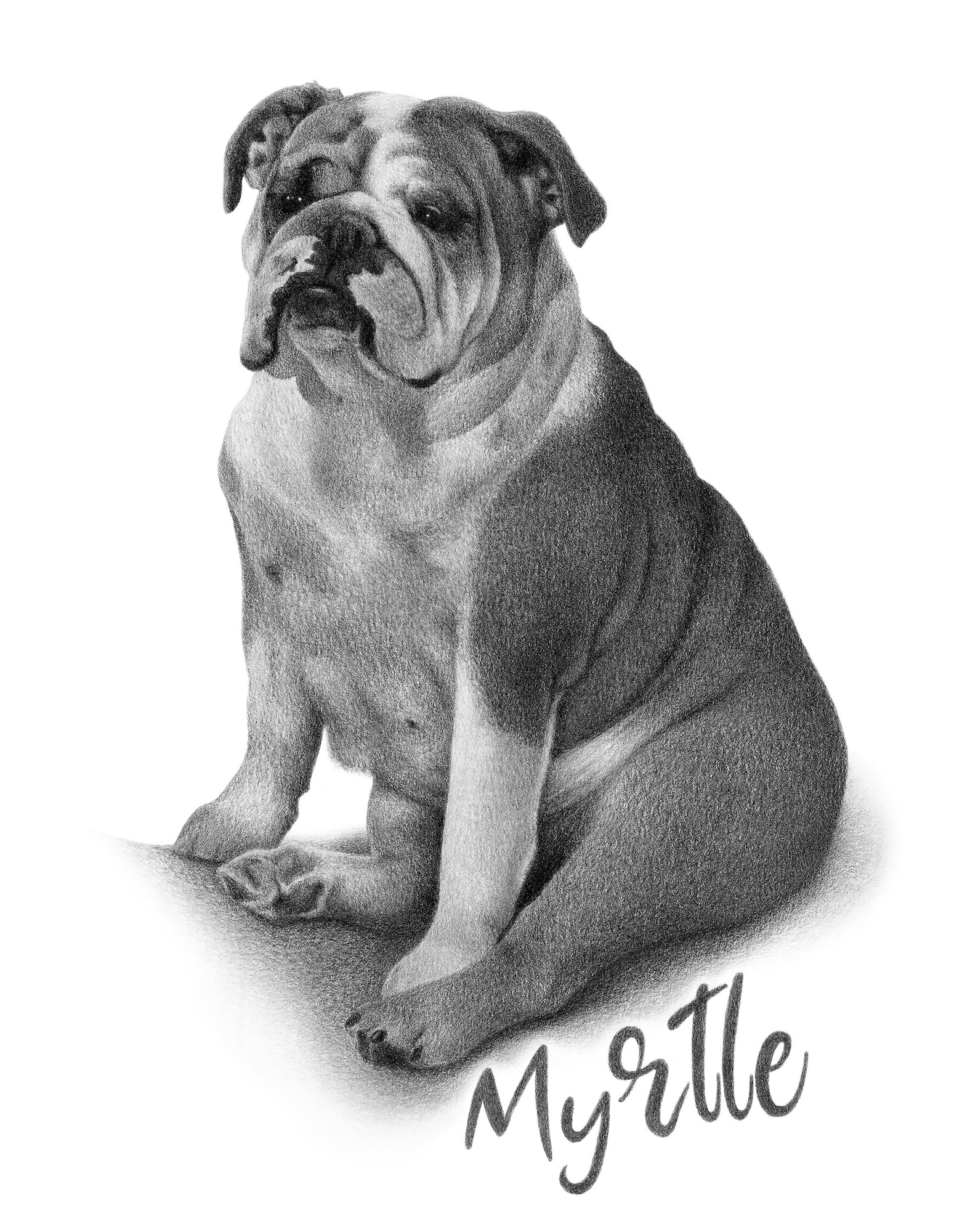 Full-body Bulldog Pencil Drawing Bulldog Drawing. | Etsy