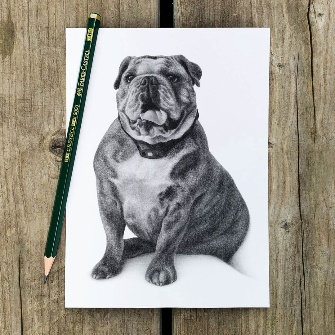 Full-body Bulldog Pencil Drawing - Bulldog Drawing. - Etsy