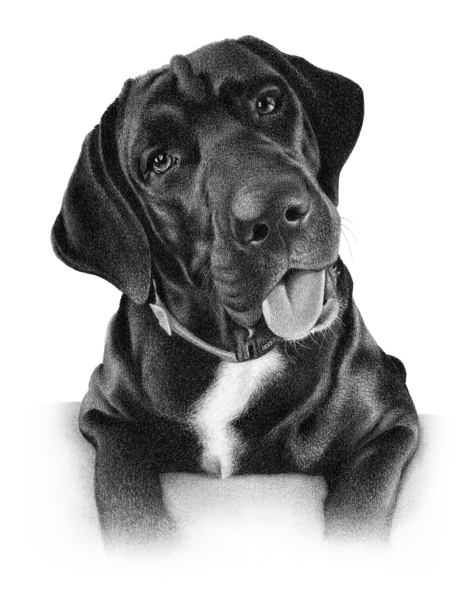 Black Dog Sketch Custom Pencil Drawing 100% Handmade - Etsy