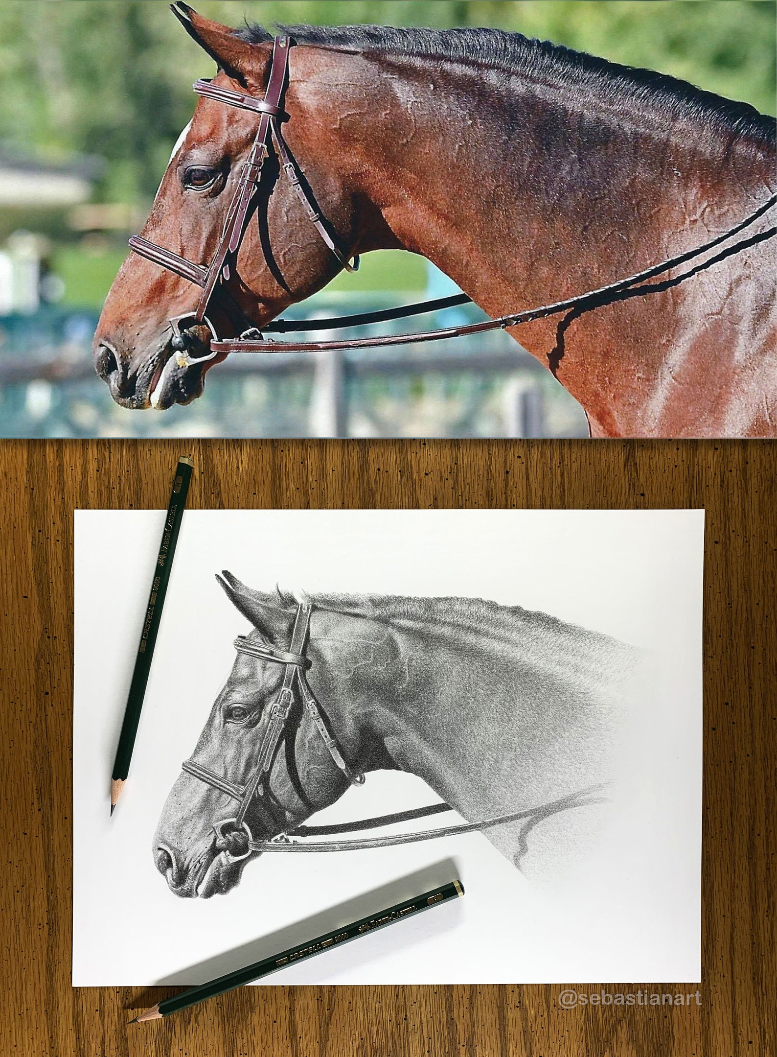 Equine Custom Pencil Drawing From Photo - 100% Handmade. - Etsy