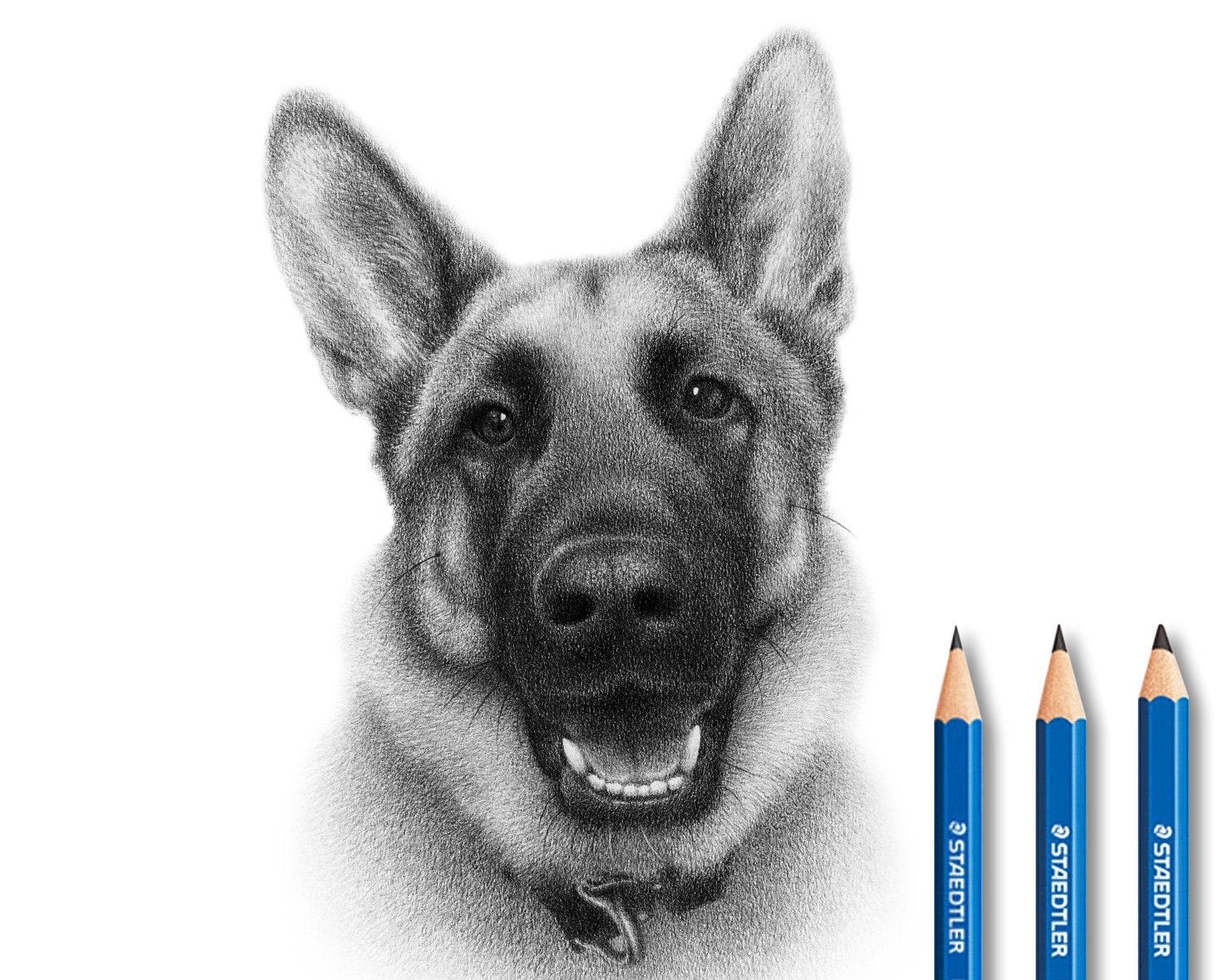 German Sherpherd Drawing From Photo Custom GSD Drawing. - Etsy Canada