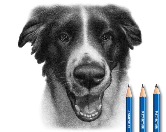 Custom Dog Drawings Wall Hangings Signs etna.com.pe