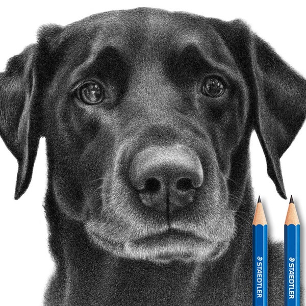 Dog Portraits Pencil - Etsy