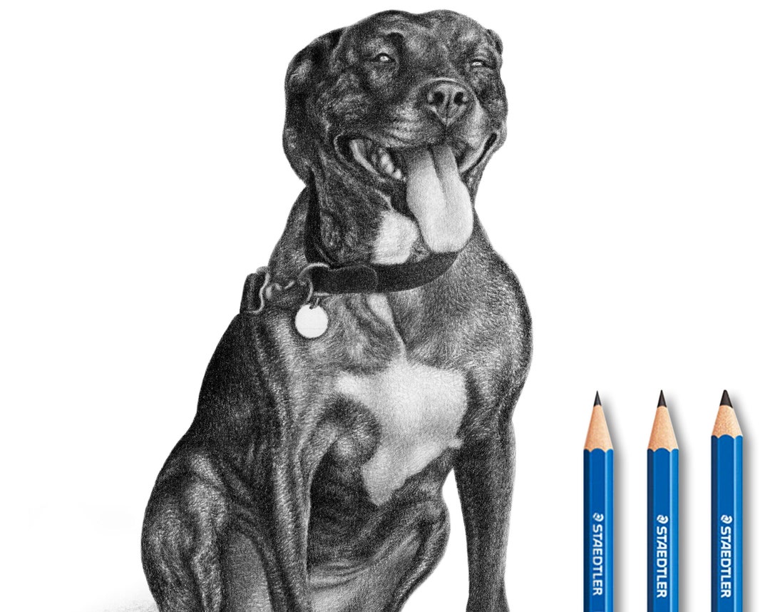 Pitbull Pencil Drawing - Custom Portrait - 100% Handmade. - Etsy