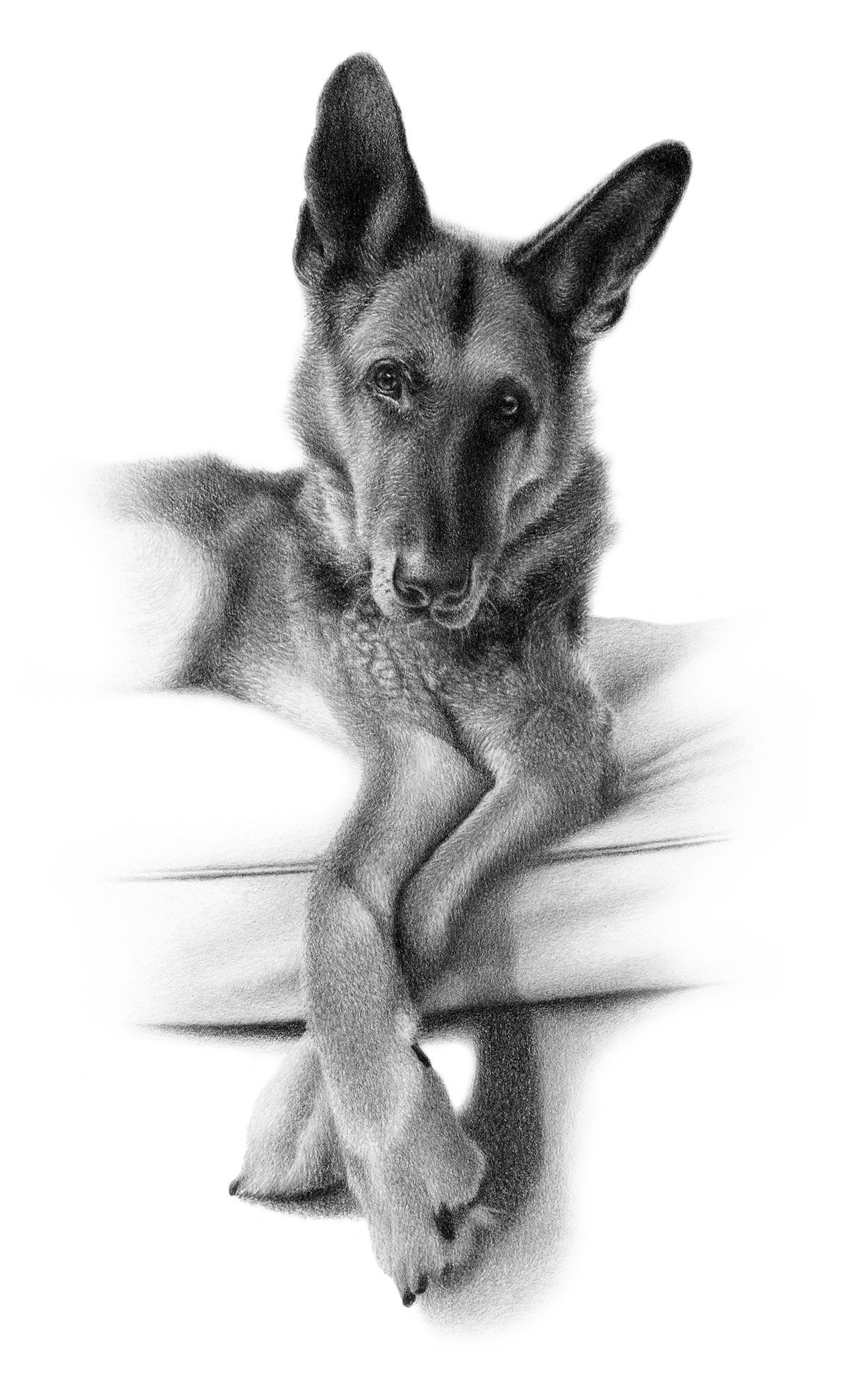 German Sherpherd Drawing From Photo Custom GSD Drawing. | Etsy Canada