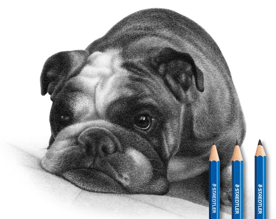 Custom Pencil Drawing Personalized Portrait. 100% Handmade. - Etsy Canada