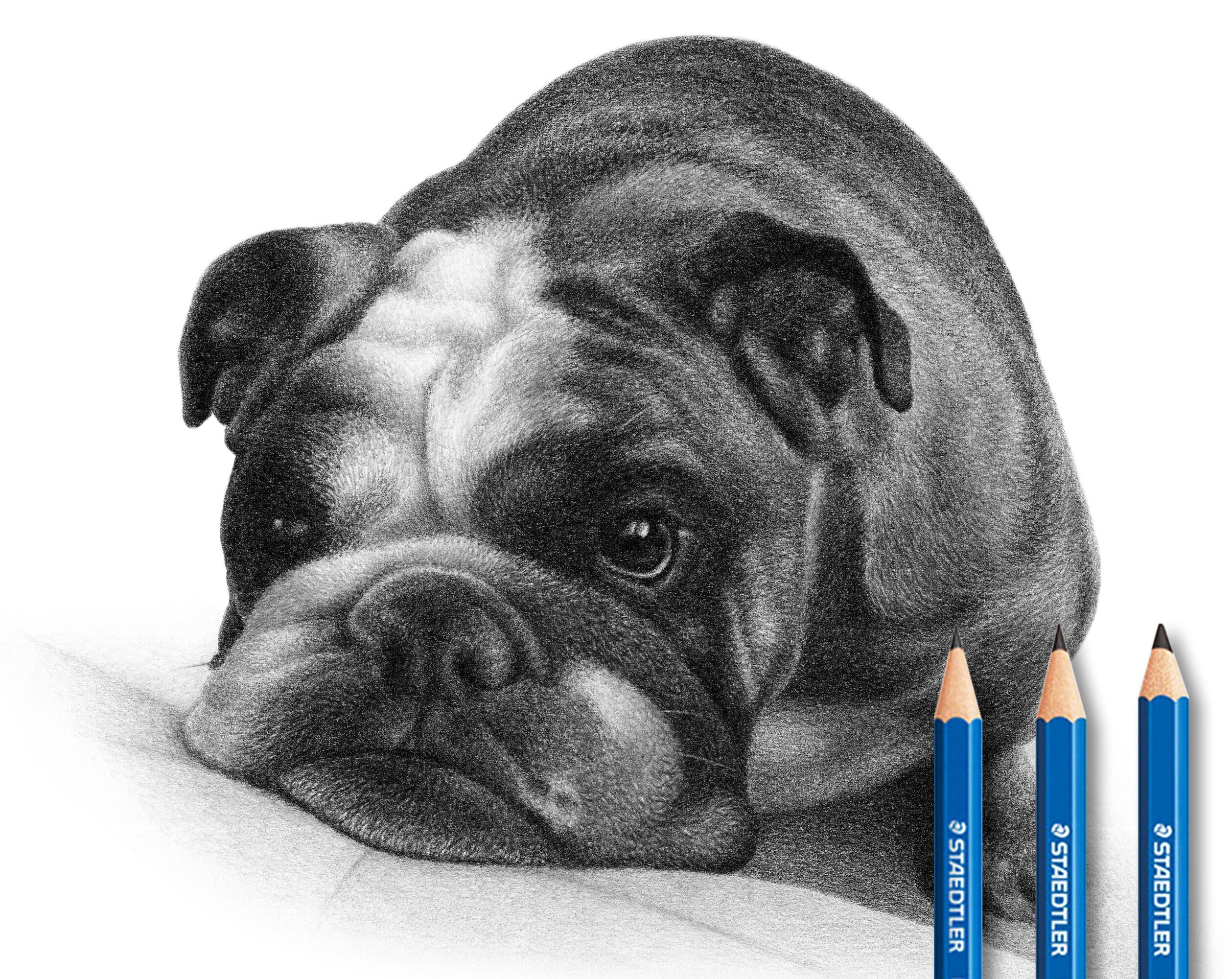 Custom Pencil Drawing Personalized Portrait. 100% Handmade. - Etsy Canada