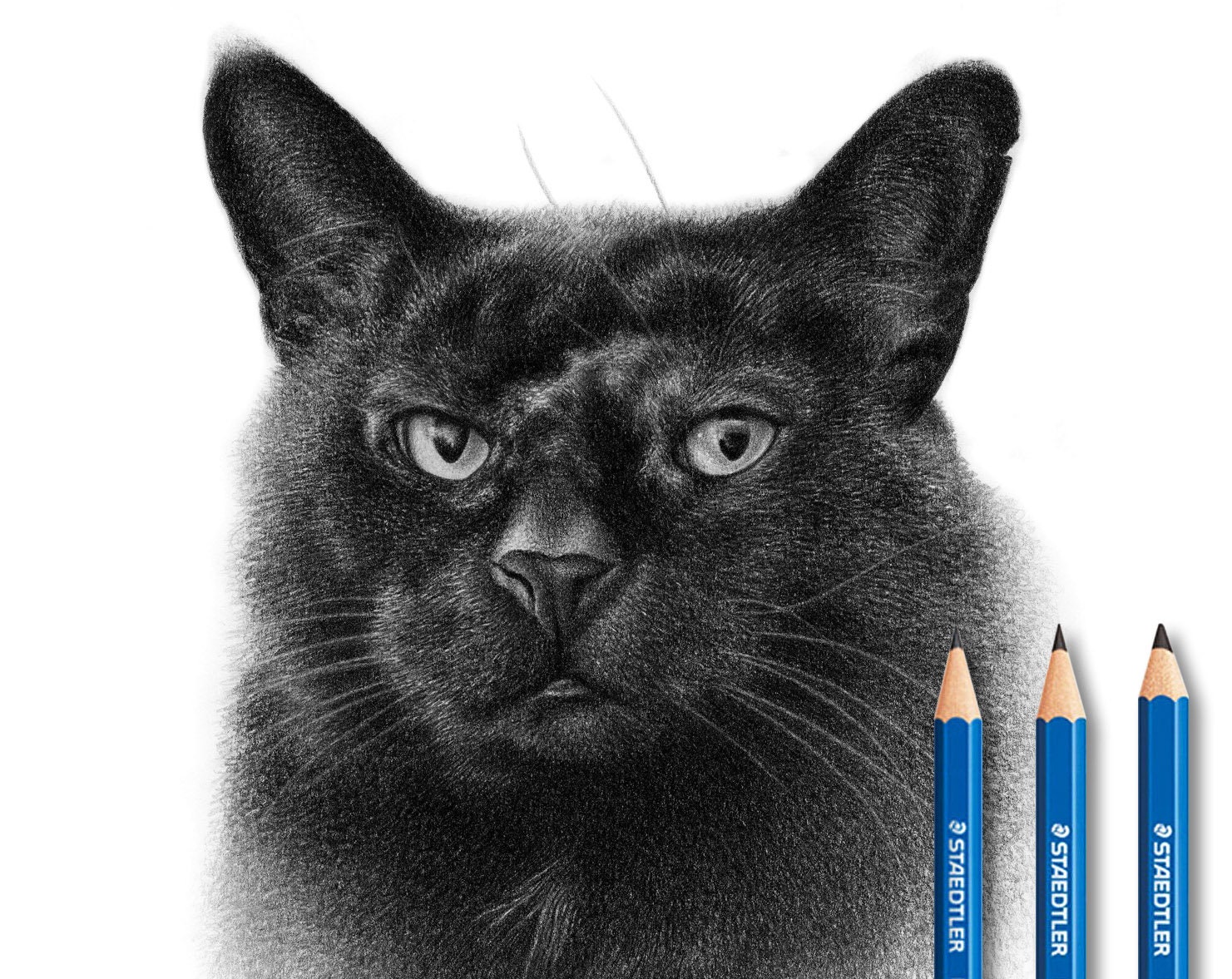 Cat Pencil Sketch Custom Pencil Drawing Handmade. | Etsy
