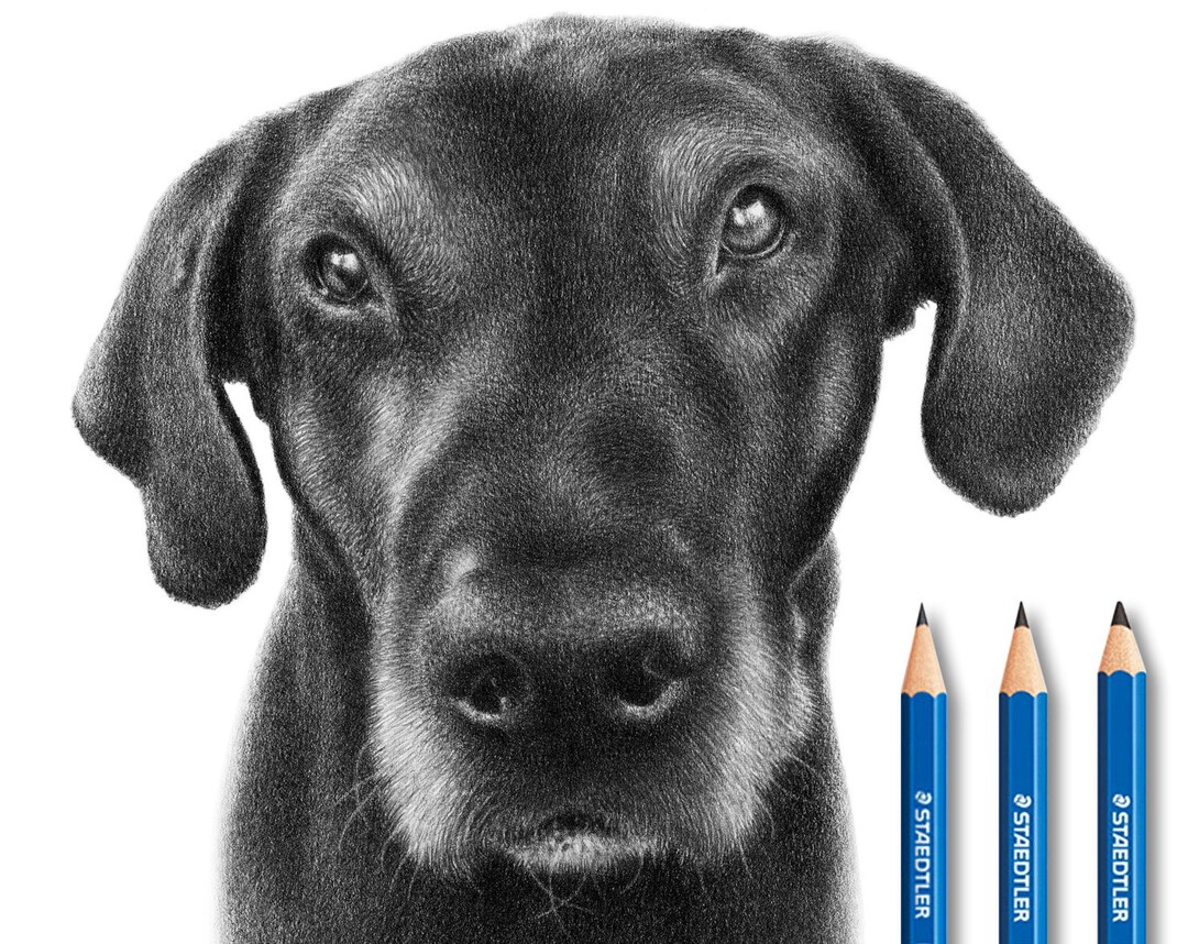 Commission Pet Drawing From Photo - 100% Handmade. - Etsy