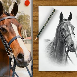 Equine Custom Pencil Drawing From Photo - 100% Handmade. - Etsy