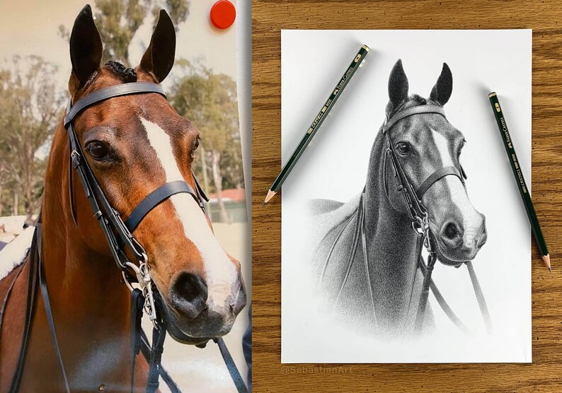 Equine Custom Pencil Drawing From Photo 100% Handmade. | Etsy