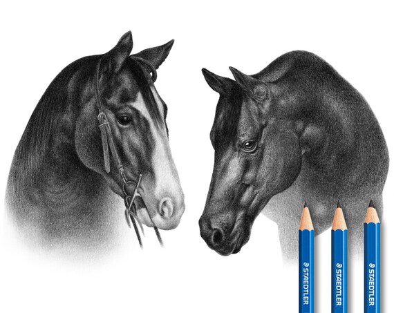 Horses Sketches Custom Horse Drawings. - Etsy