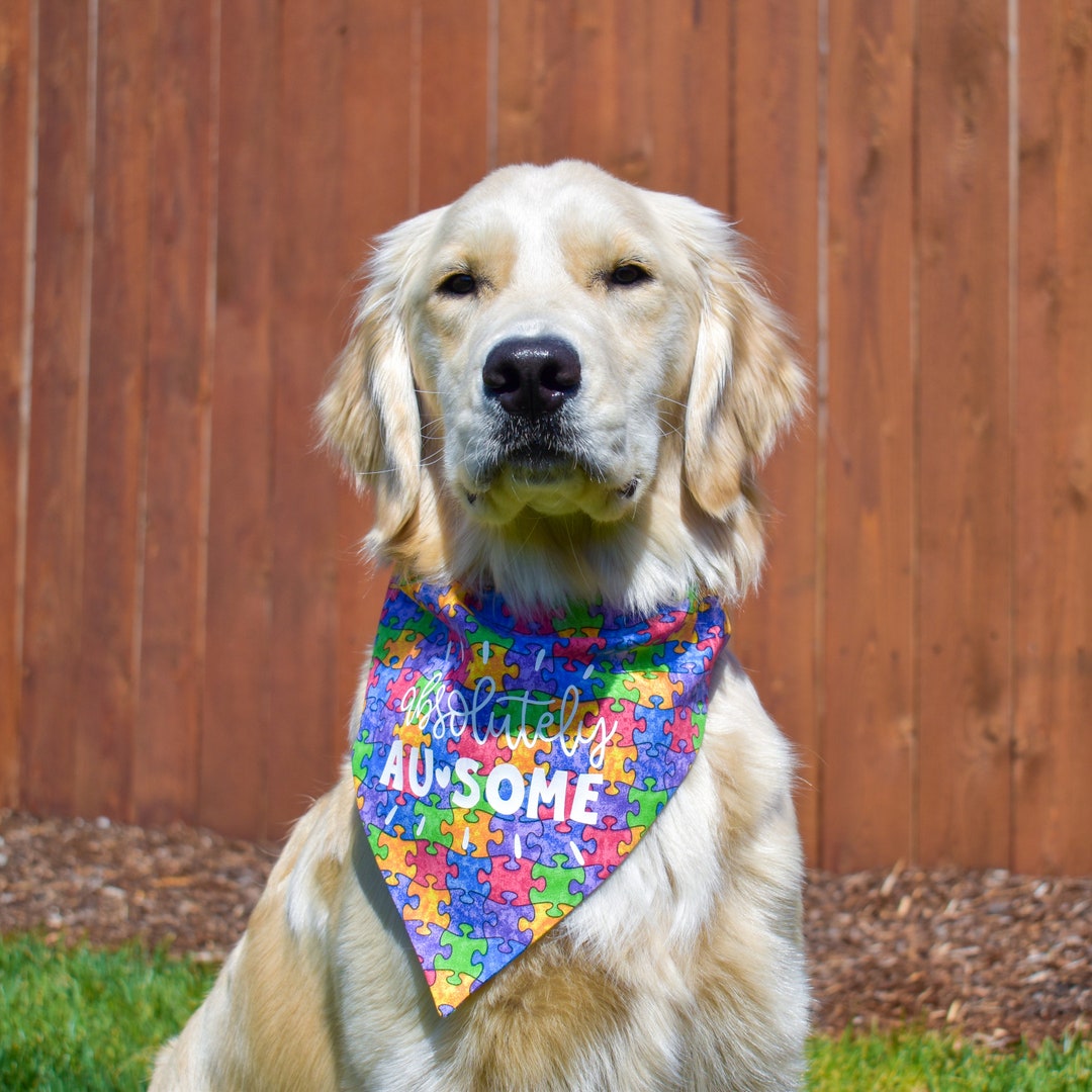 Autism Awareness Over the Collar Dog Bandana, Autism Puzzle Dog Bandana ...