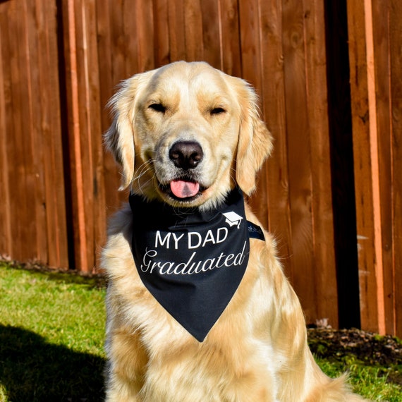 Dog bandana ideas store
