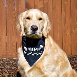 Dog graduation bandana store