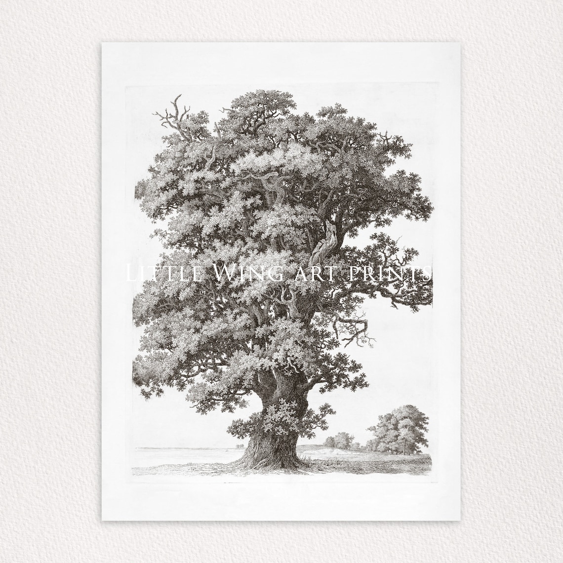 Printable Vintage Art | Old Tree Landscape Drawing | Rustic Cottage ...