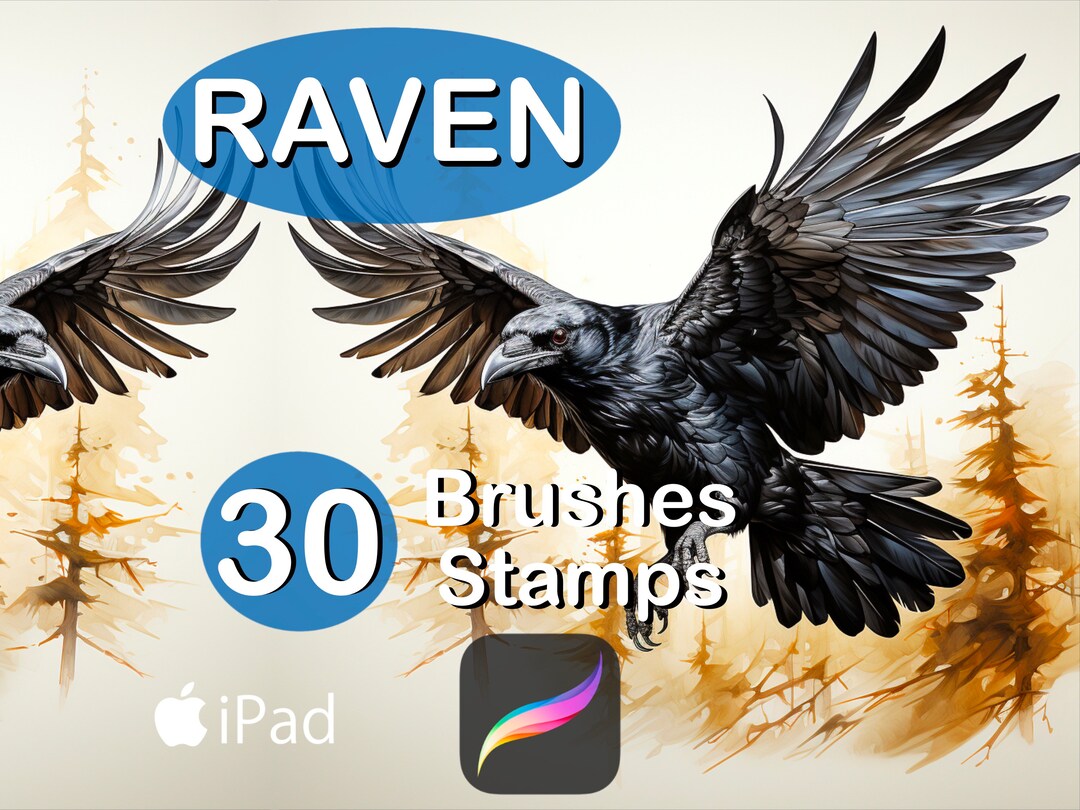 Procreate Crow Raven Brush Stamps - Etsy