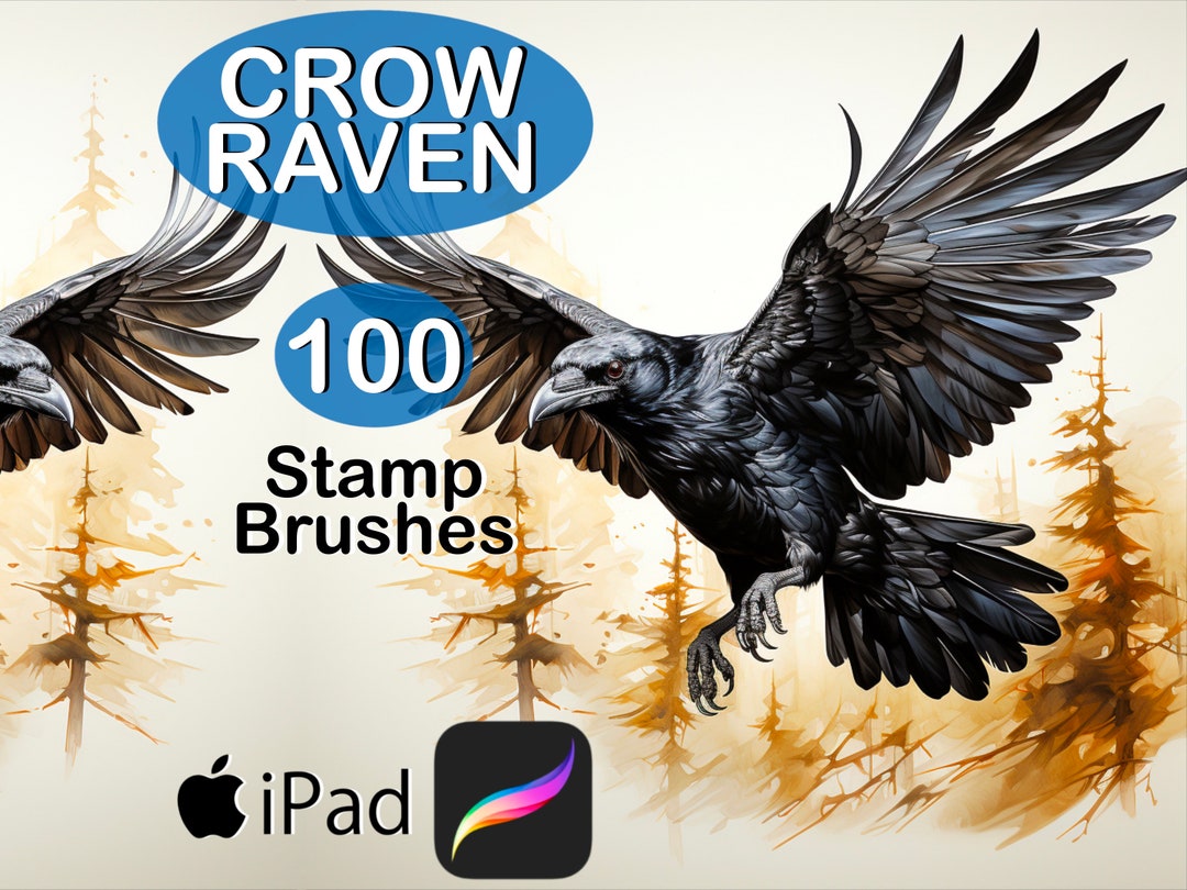 Procreate Crow Raven Brush Stamps - Etsy