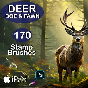 Procreate Deer Doe Fawn Stamp Brush Photoshop - Etsy