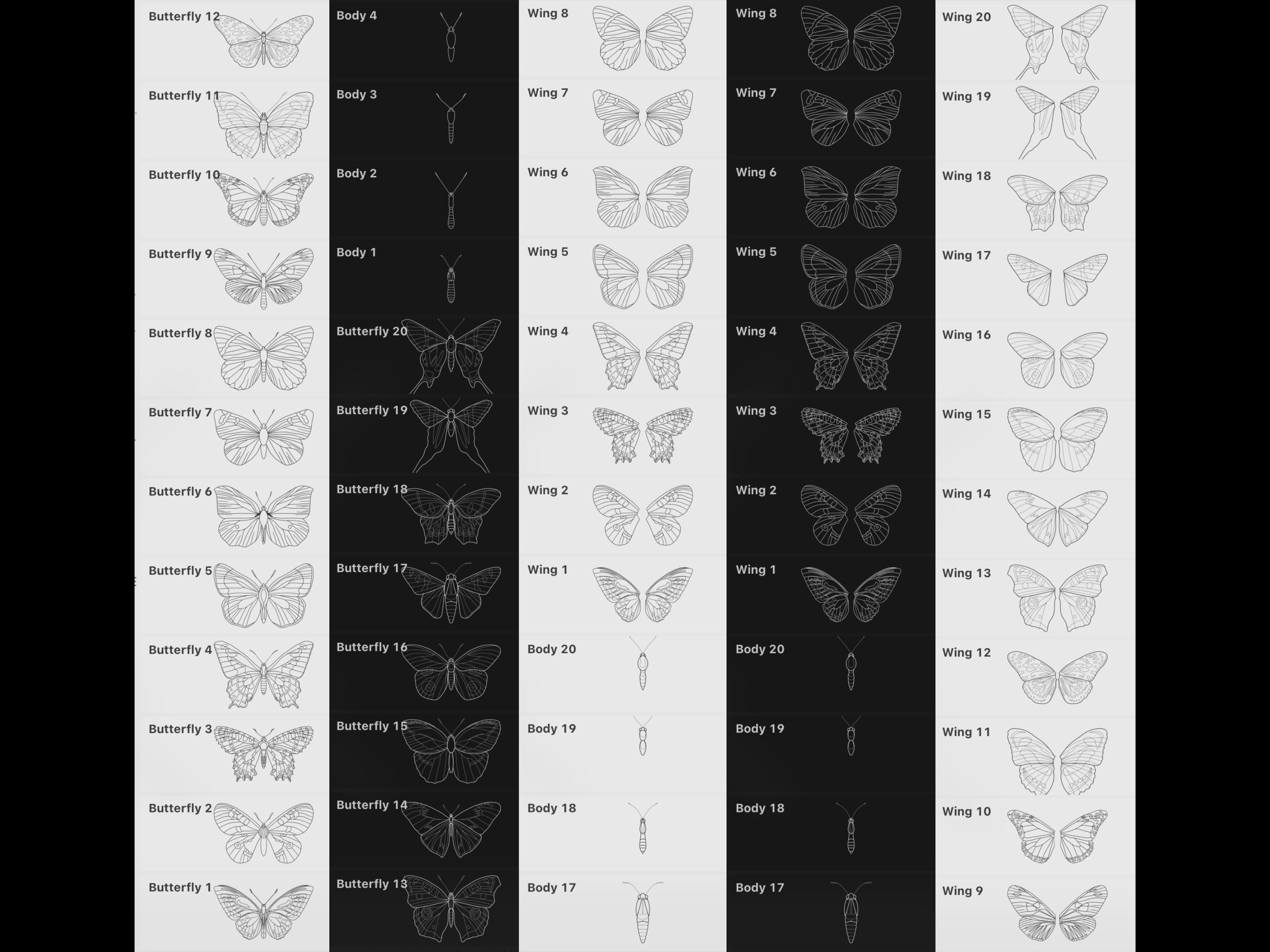 Procreate Butterfly Spider Insect Brush Set - Etsy