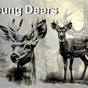 Procreate Deer Doe Fawn Stamp Brush Photoshop - Etsy