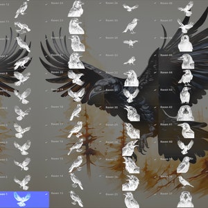 Procreate Crow Raven Brush Stamps - Etsy