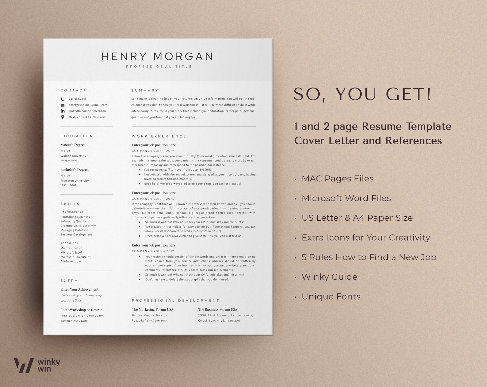 Template for a Cv Clean Cv Template for Pages and MS Word - Etsy Canada