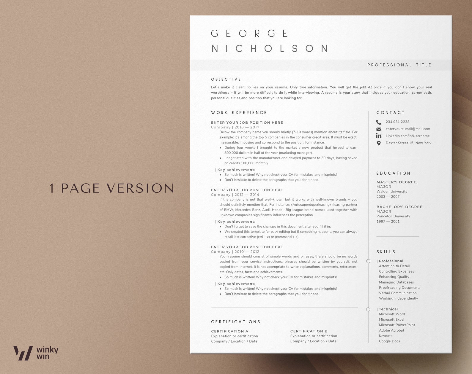 Reverse Chronological Resume Template Word, C Level Resume Director ...