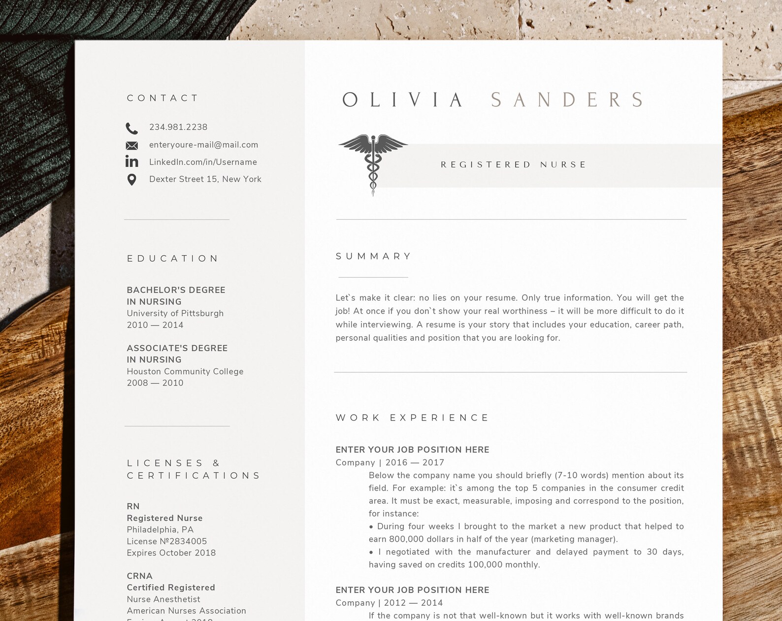 Registered Nurse Resume Template Word Pages Resume Nurse, Nursing ...