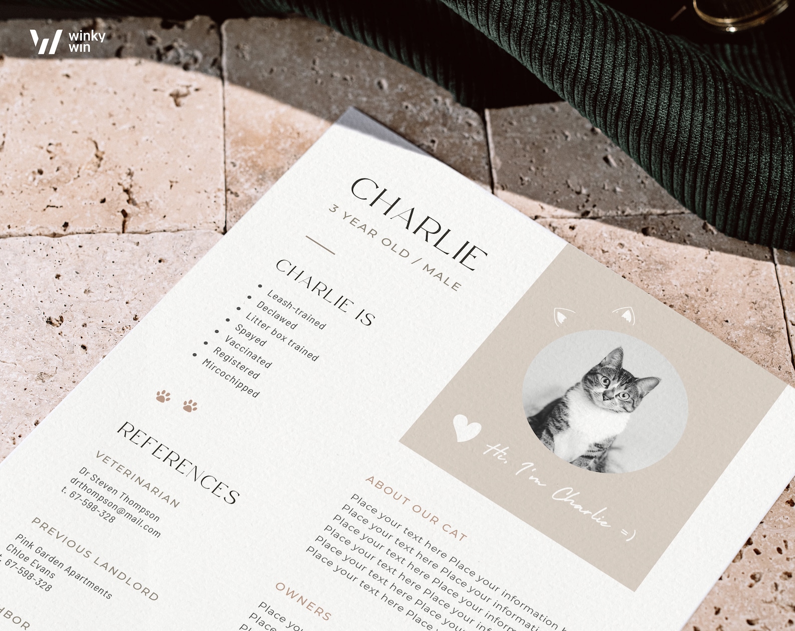 Cat Resume for Rental Writing Cat Bios Cat Adoption Ads Cat - Etsy