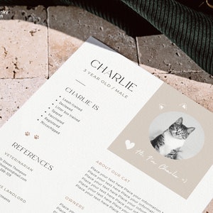 Cat Resume for Rental, Writing Cat Bios, Cat Adoption Ads, Cat Rescue ...