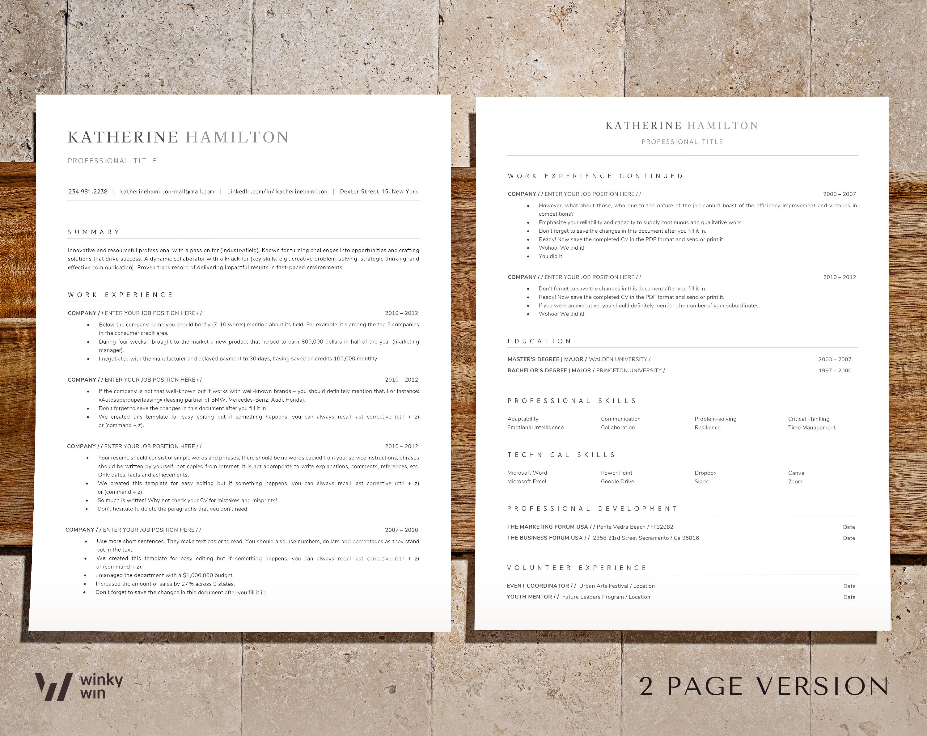 Executive Resume Template Ats Friendly, Professional ATS Resume ...