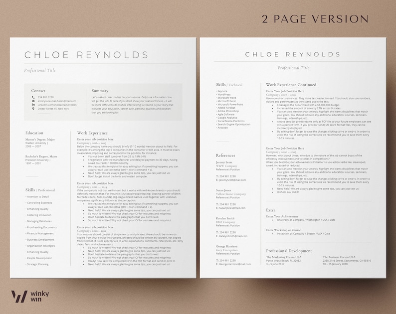 Modern Resume Template Apple Pages + MS Word, Cv Template With Summary ...